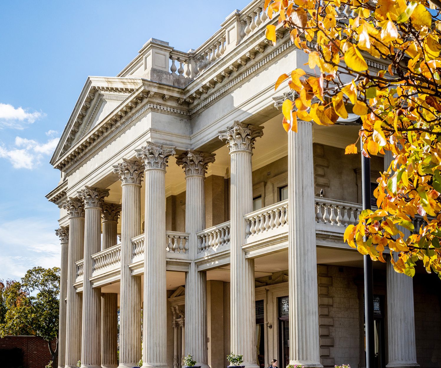 Governance, Leadership & Structure | Lowther Hall